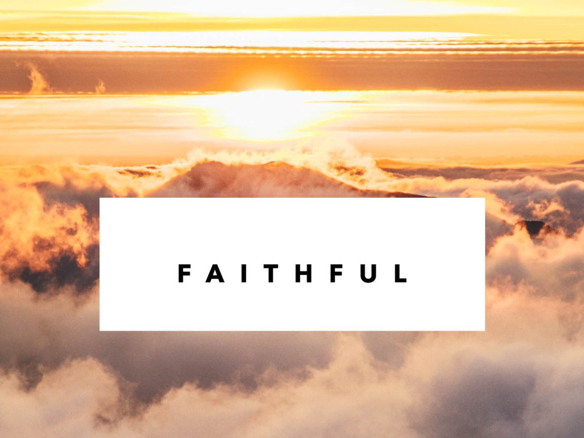 The Reforming Raker – From Questions, Two Applications